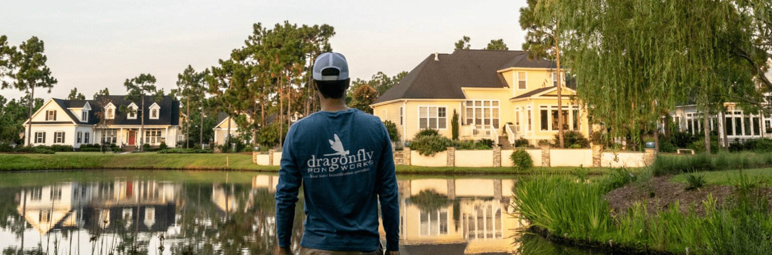 Dragonfly Pond Works - Warren Equity Partners